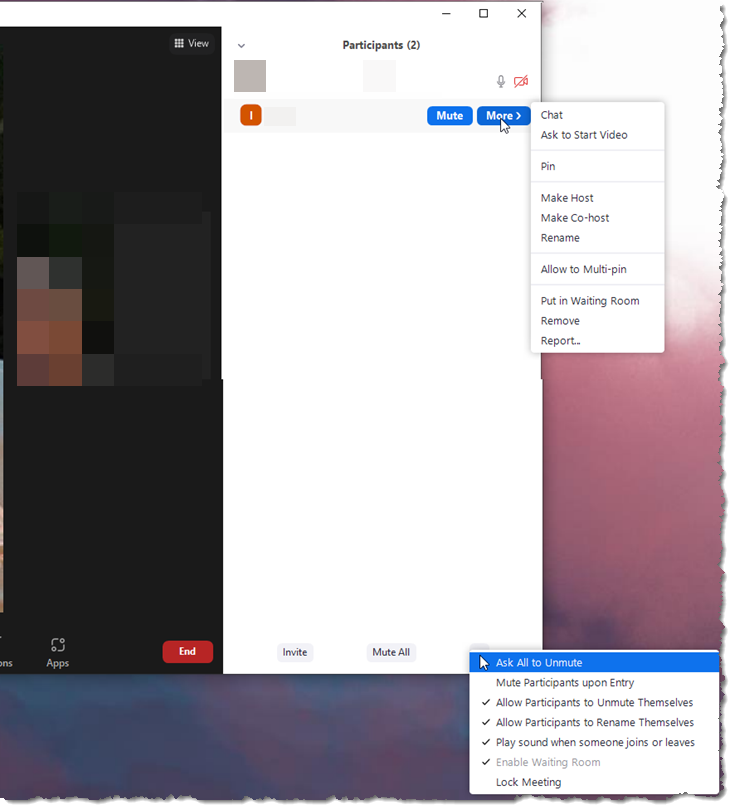 Zoom Tip, Permissions – Practical Help for Your Digital Life®